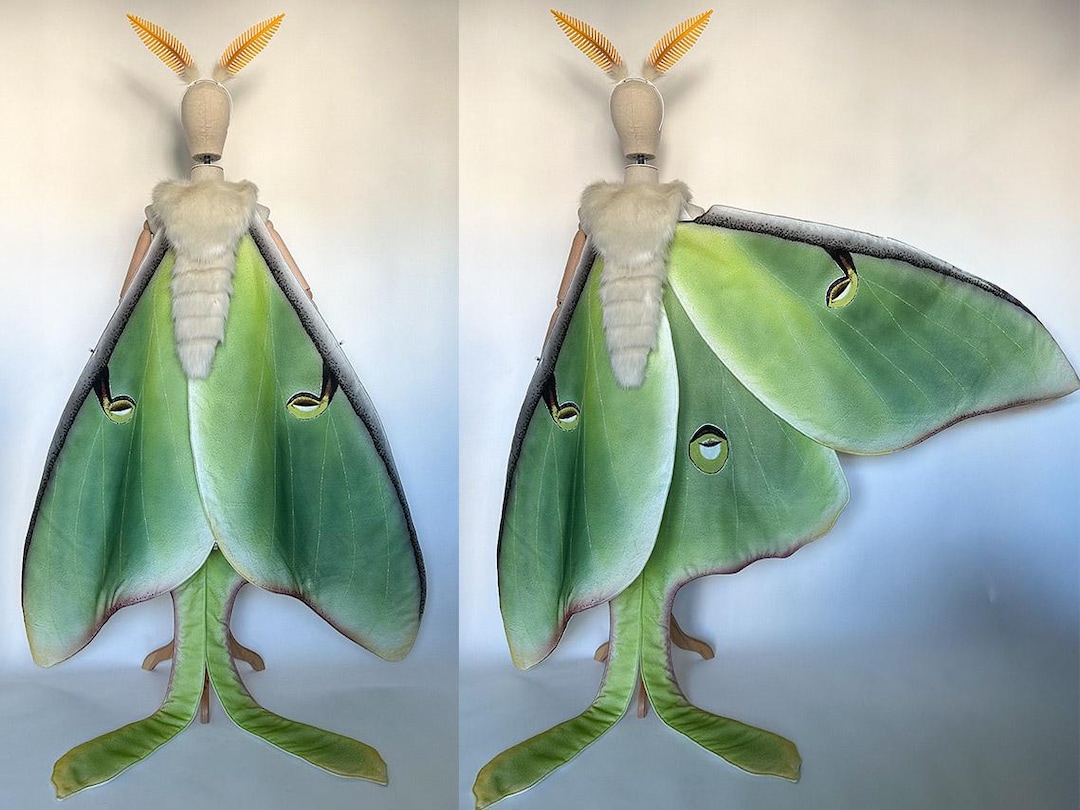 Luna Moth Costume Fantasy Cape Hand Painted Fantasy Wings - Etsy