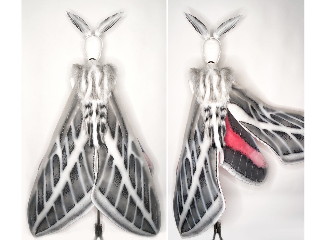 Custom Moth Wings Costume Cape Hand-painted Wings Fantasy Clothing ...