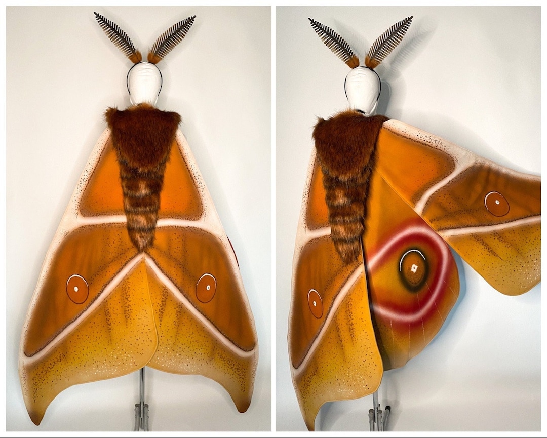 Bullseye Moth Wings Costume Cape Hand-painted Wings Fantasy Clothing ...