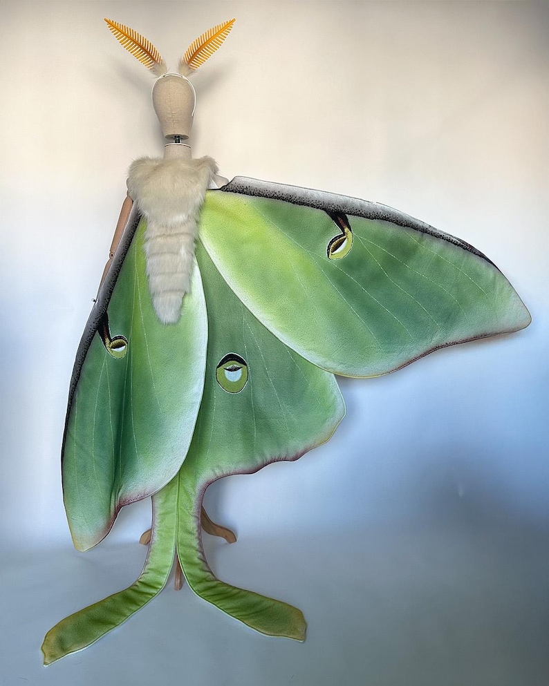Luna Moth Costume Fantasy Cape Hand Painted Fantasy Wings - Etsy