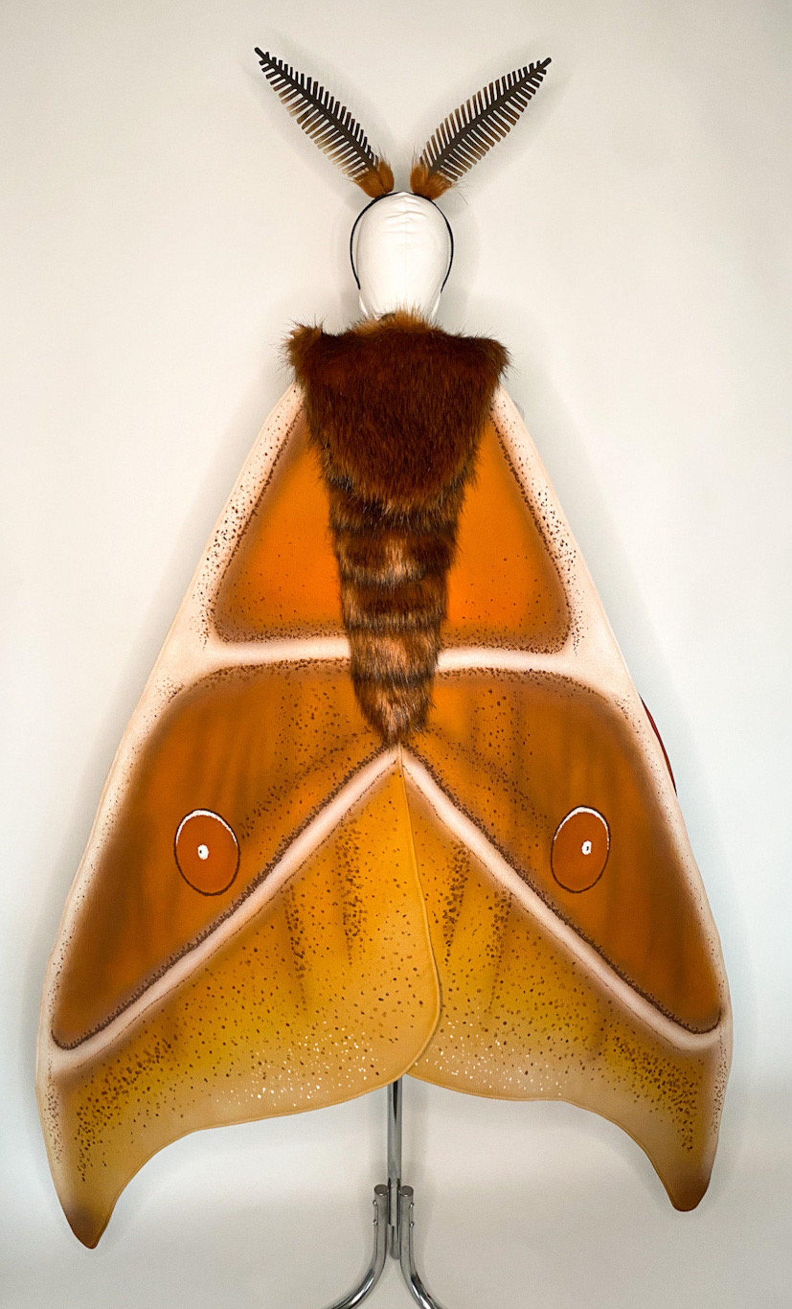 Bullseye Moth Wings Costume Cape Hand-painted Wings Fantasy Clothing ...