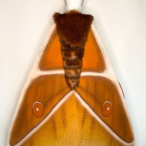 Bullseye Moth Wings Costume Cape Hand-painted Wings Fantasy Clothing ...