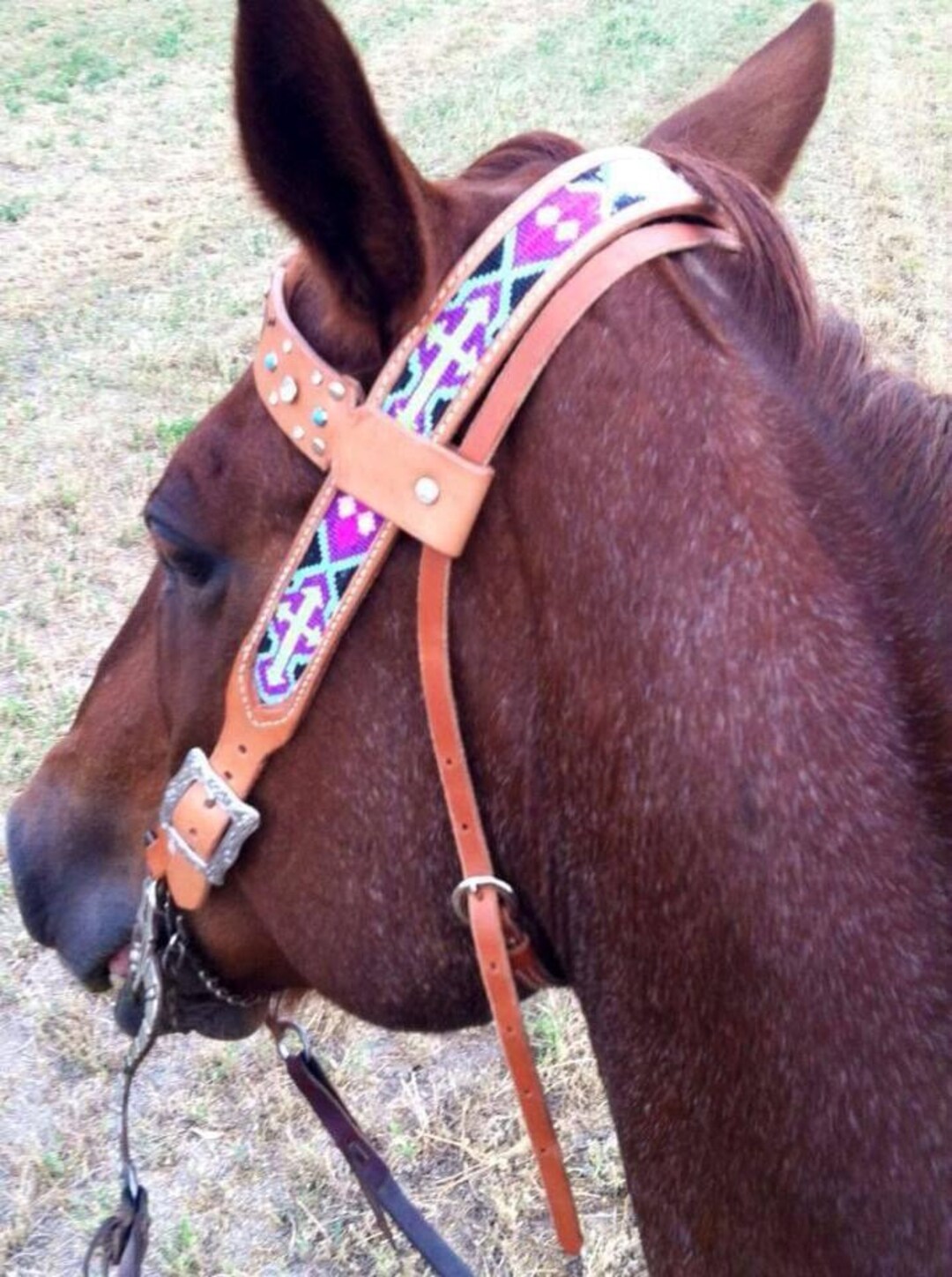 Custom Hand Beaded, Hand Leather Headstall - Etsy