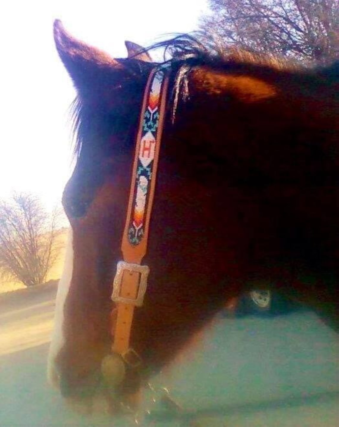 Custom Hand Beaded, Hand Leather Headstall - Etsy