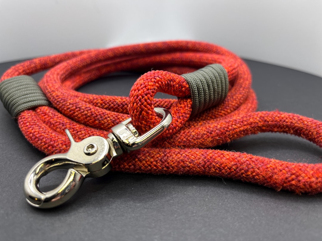 Adventure Leash - Desert - Recycled Climbing Rope - Rawah Dog ...