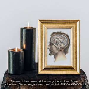 Brain Anatomy by Nicolas Henri Jacob Art Print • Gift for Goths ...