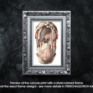 Anatomía de la cavidad oral por Nicolas Henri Jacob Lámina artística ...