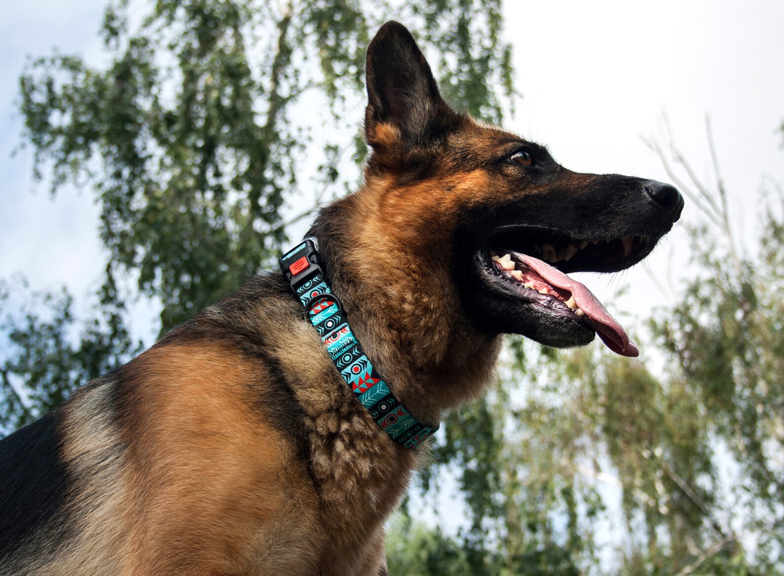 Tribal Dog Collar Personalized Nylon Dog Collar Side Release - Etsy