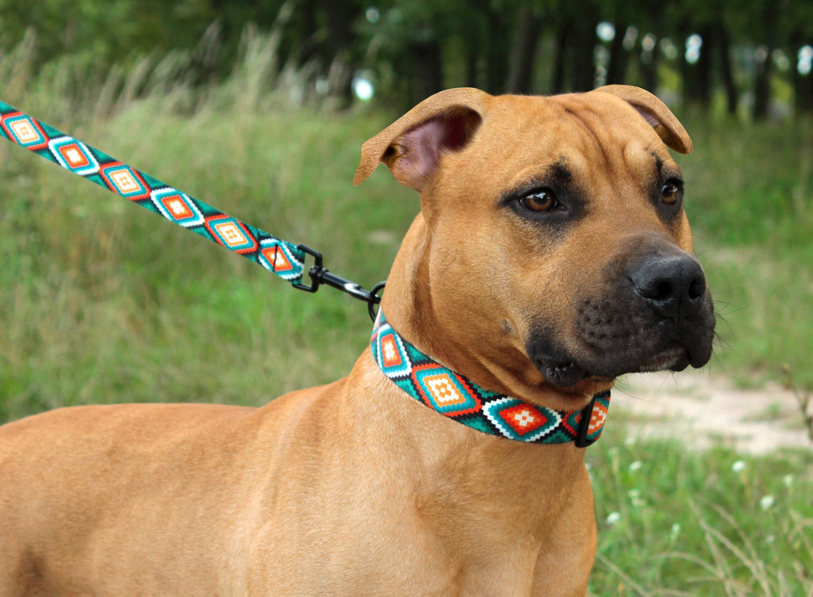 Tribal Dog Collar Personalized Nylon Dog Collar Side Release - Etsy