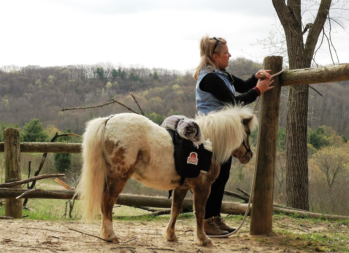 Miniature Horse and Donkey Backpacks Custom Patches and | Etsy