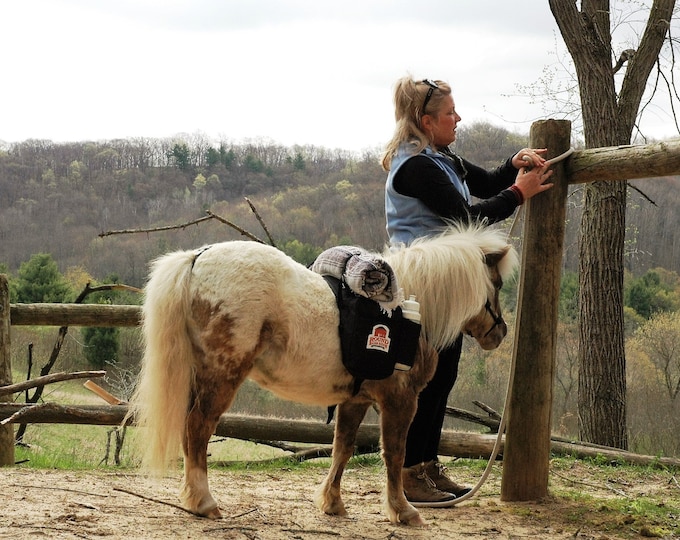 Mini Horse Pack Saddle Large , Adjustable - Etsy