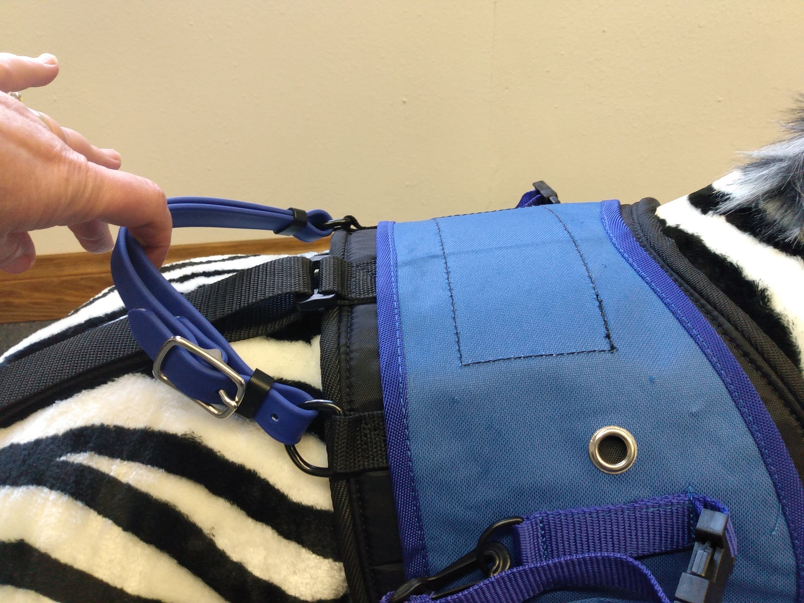 Miniature Horse and Donkey Backpacks Custom Patches and Accessories - Etsy