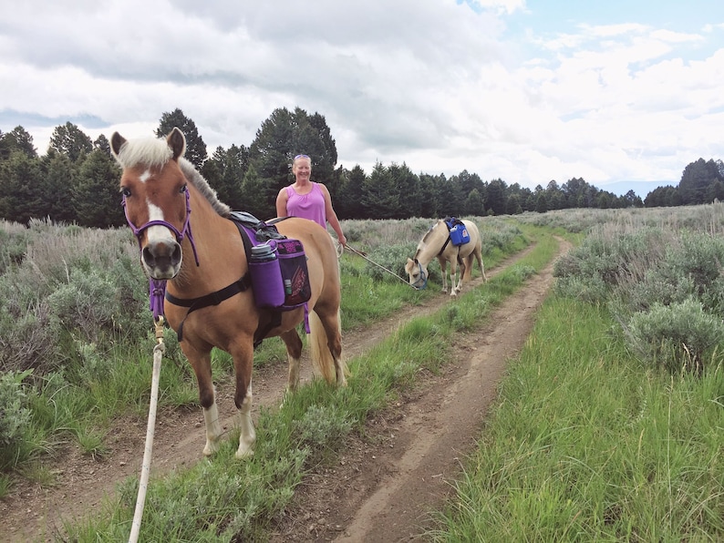 Miniature Horse and Donkey Backpacks Custom Patches and - Etsy