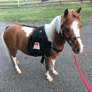 Miniature Horse and Donkey Backpacks - Custom Patches and Accessories ...