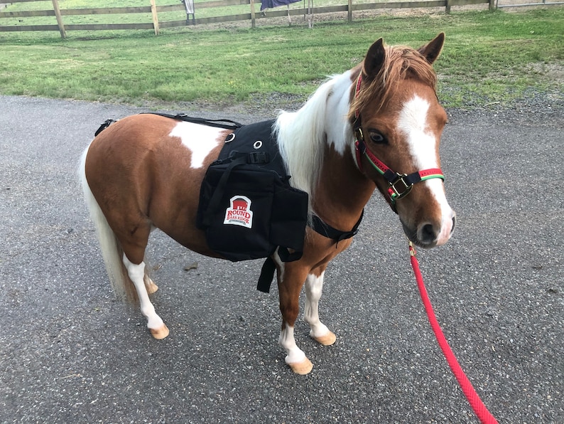 Miniature Horse and Donkey Backpacks Custom Patches and - Etsy