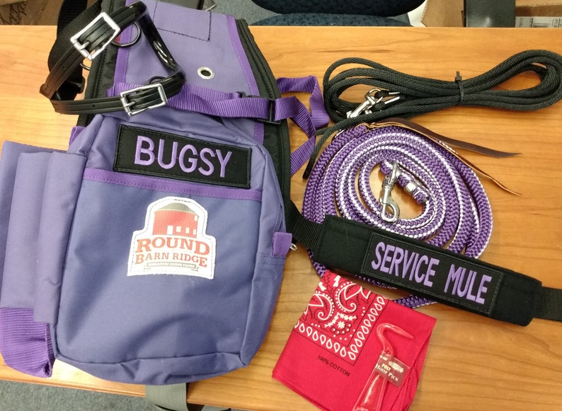 Miniature Horse and Donkey Backpacks Custom Patches and - Etsy