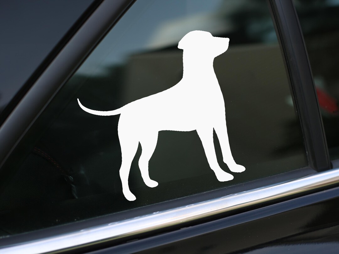 Dog Decal, Labrador Decal Sticker for Car, Laptop or Wall, Vinyl Gift ...