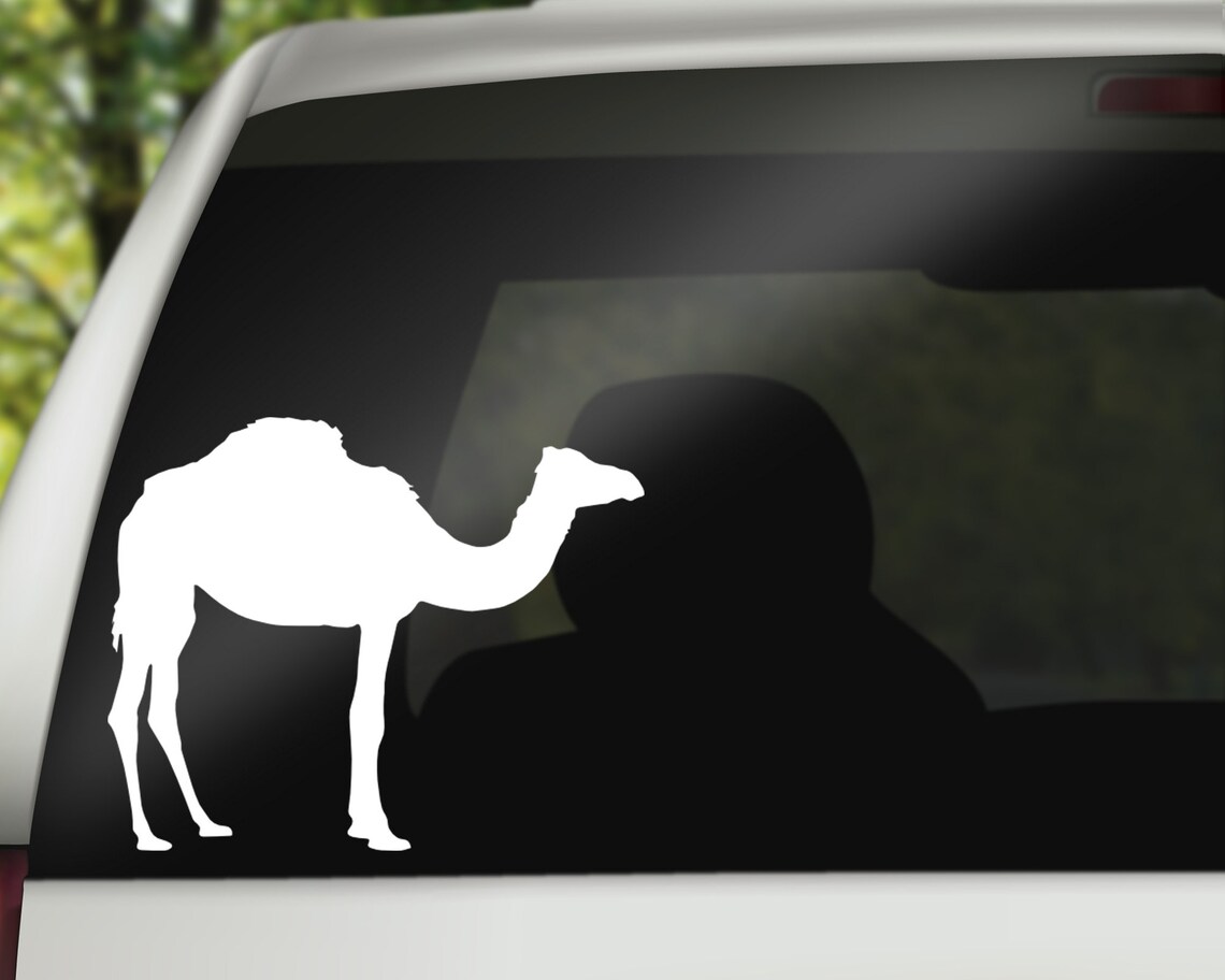 Camel Decal Sticker for Car Laptop or Wall Vinyl Gift | Etsy
