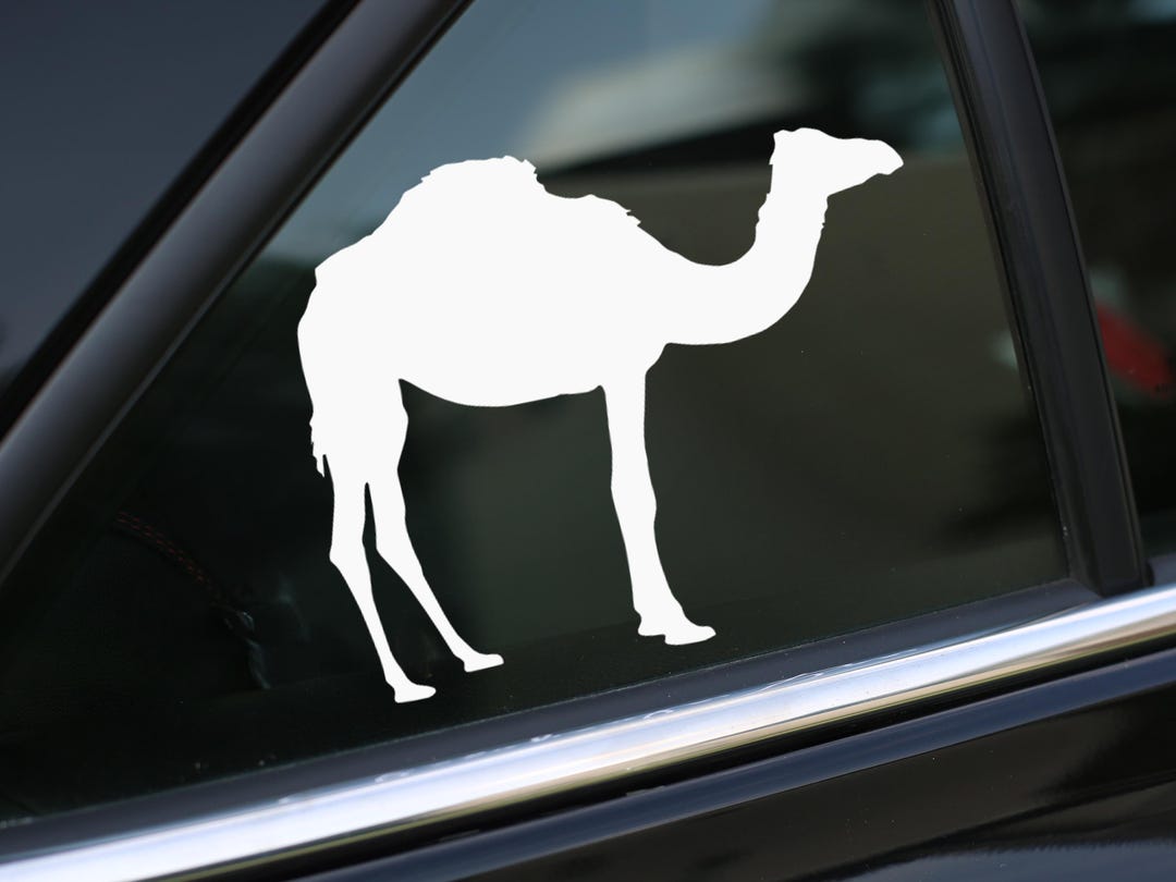 Camel Decal, Sticker for Car, Laptop or Wall, Vinyl Gift, Camel Gift - Etsy