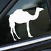 Camel Decal, Sticker for Car, Laptop or Wall, Vinyl Gift, Camel Gift - Etsy