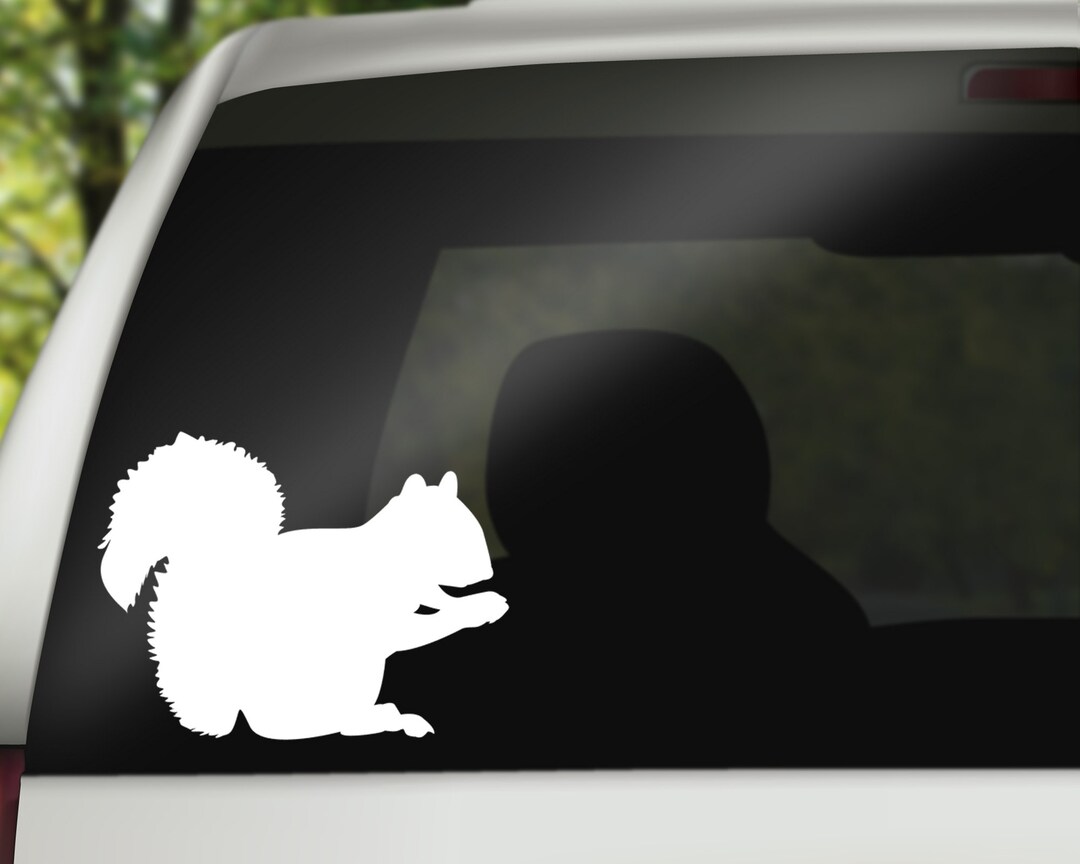 Squirrel Decal Sticker for Car Laptop or Wall Vinyl Gift - Etsy