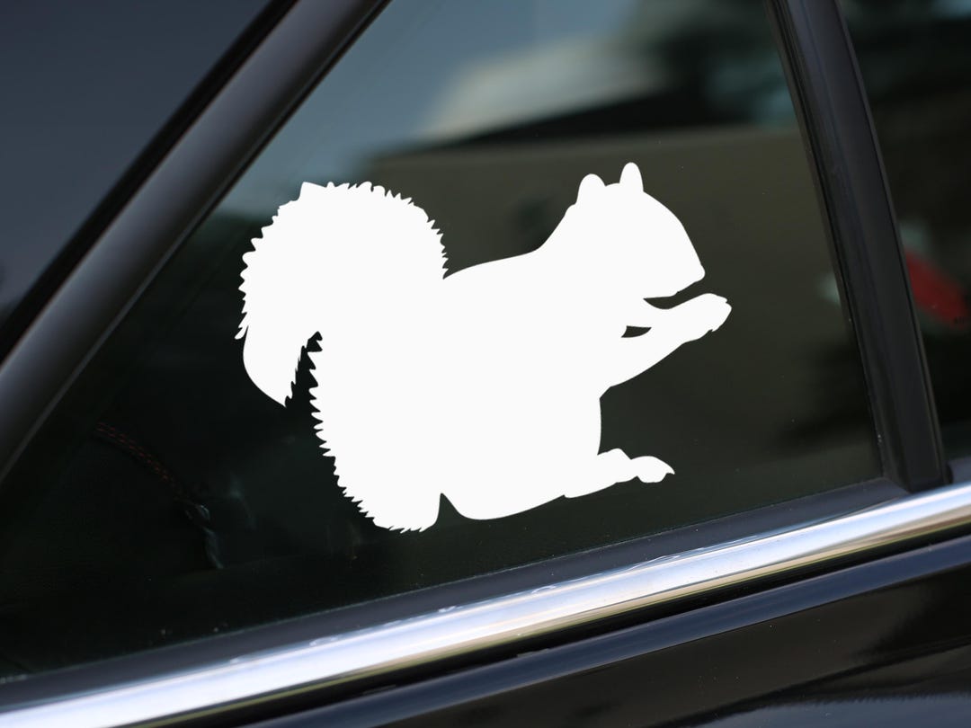 Squirrel Decal, Sticker for Car, Laptop or Wall, Vinyl Gift, Squirrel ...