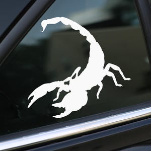 Scorpion Decal, Sticker for Car, Laptop or Wall, Vinyl Gift, Scorpion ...
