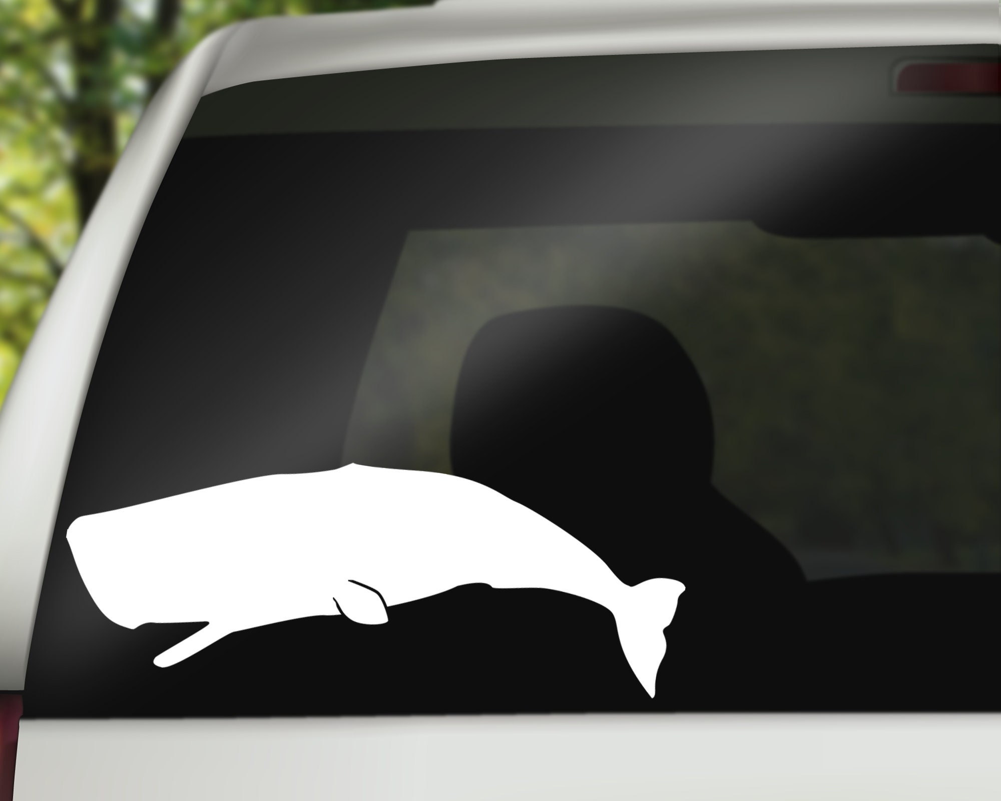 Whale Decal, Sticker for Car, Laptop or Wall, Vinyl Gift, Whale Gift - Etsy