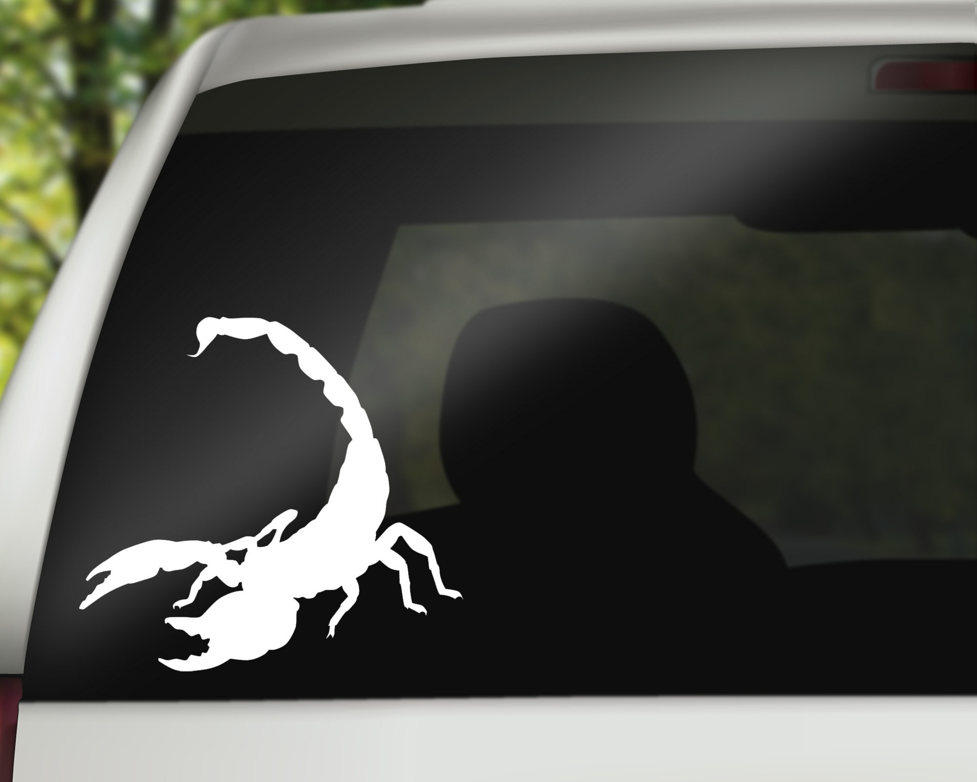 Scorpion Decal Sticker for Car Laptop or Wall Vinyl Gift - Etsy