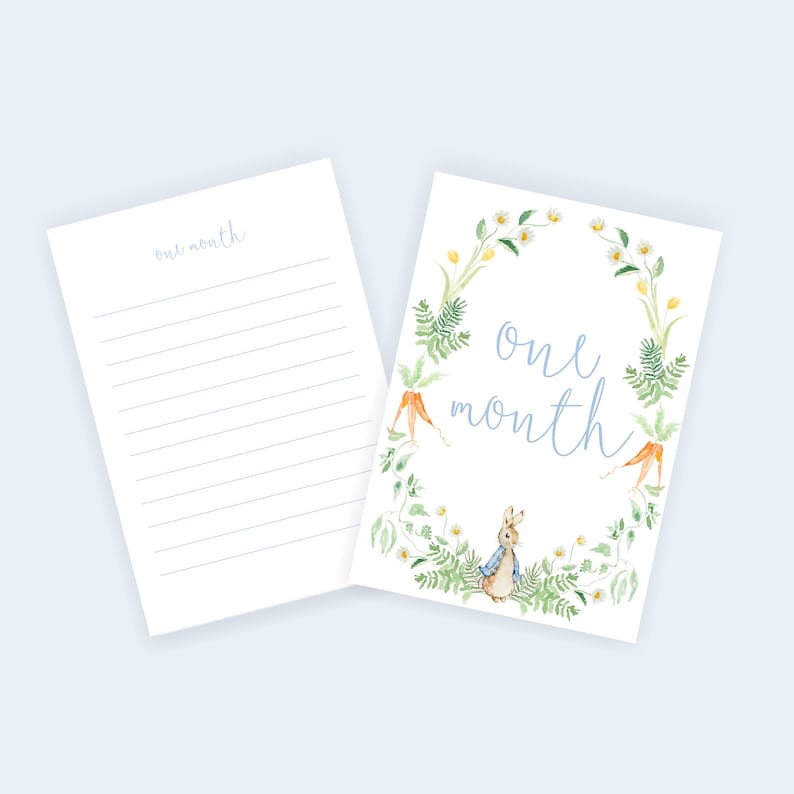 Watercolor Peter Rabbit Milestone Cards - Etsy
