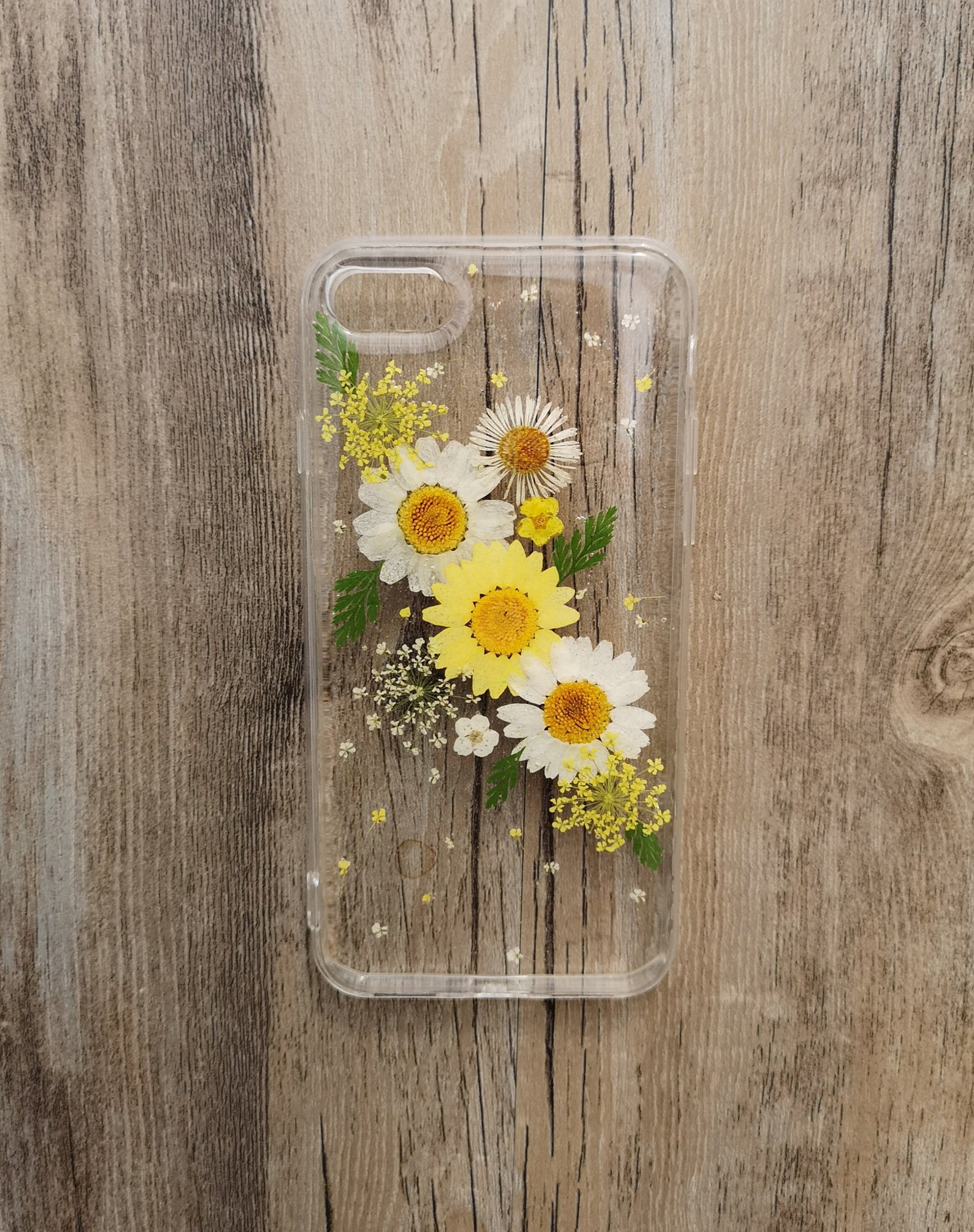 Pressed Dried Flower Daisy Phone Case, iPhone 15 14 13 Pro Max 12 11 Se ...