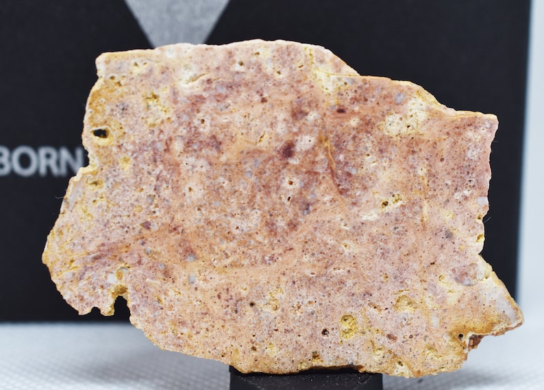 Silicified Shocked Sandstone Breccia, Vargeão Dome Impact Crater ...