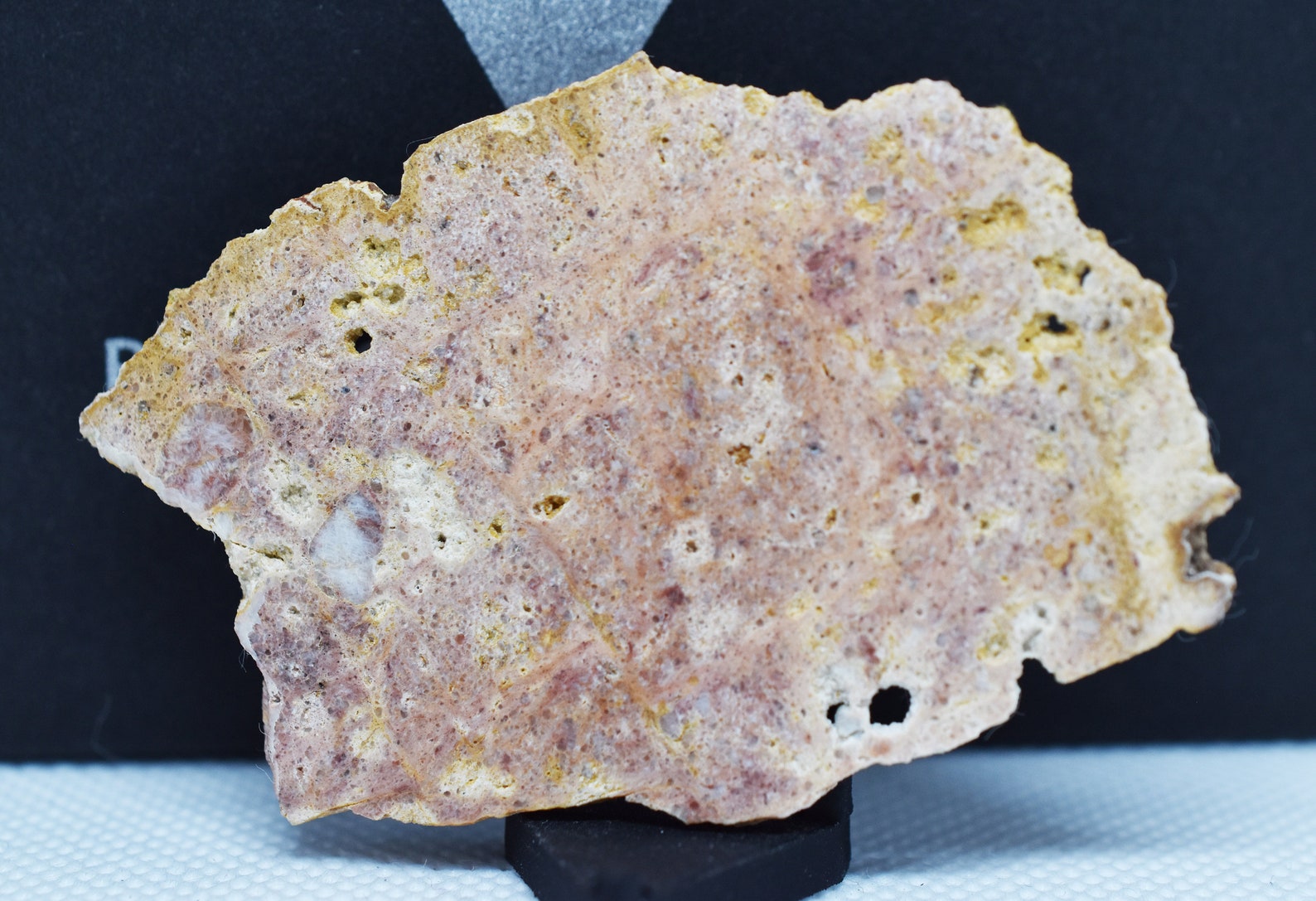 Silicified Shocked Sandstone Monomict Breccia From Vargeão - Etsy