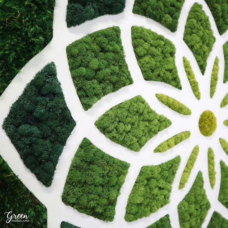 Mandala Preserved Moss Art Green Wallscapes - Etsy