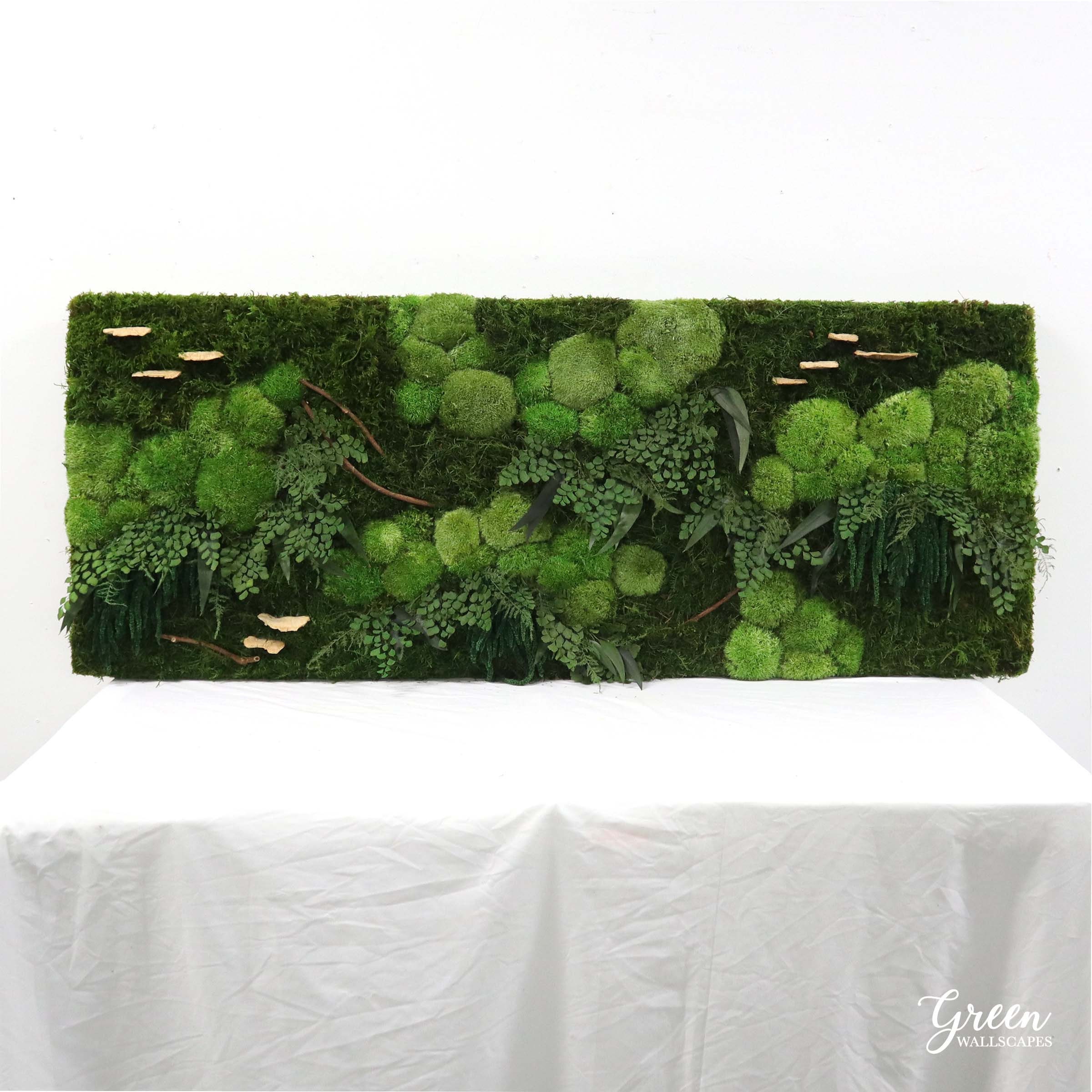 Custom Botanica Wall | Green Wallscapes | Botanica Wall | Moss and Fern ...
