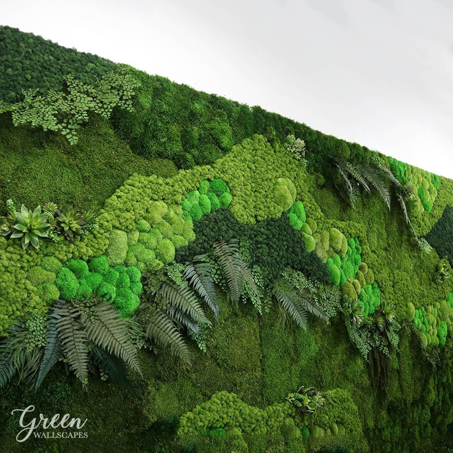 Custom Amazonia-ferns and Moss Wall Art Preserved, Reindeer Lichen Moss ...