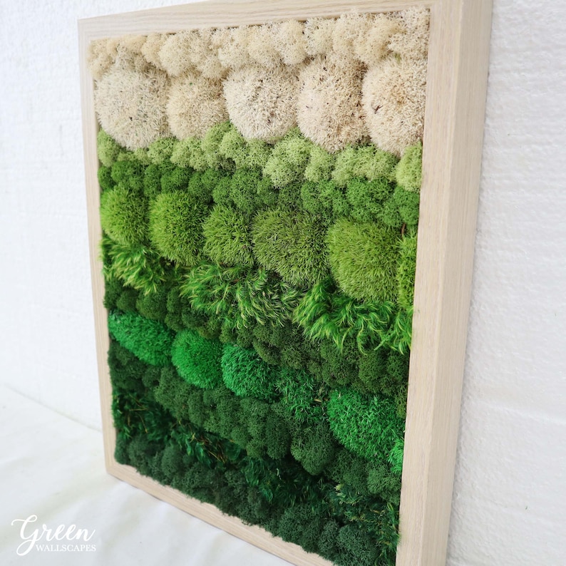 Custom Moss Art for Your Home Green Wallscapes Moss Art - Etsy