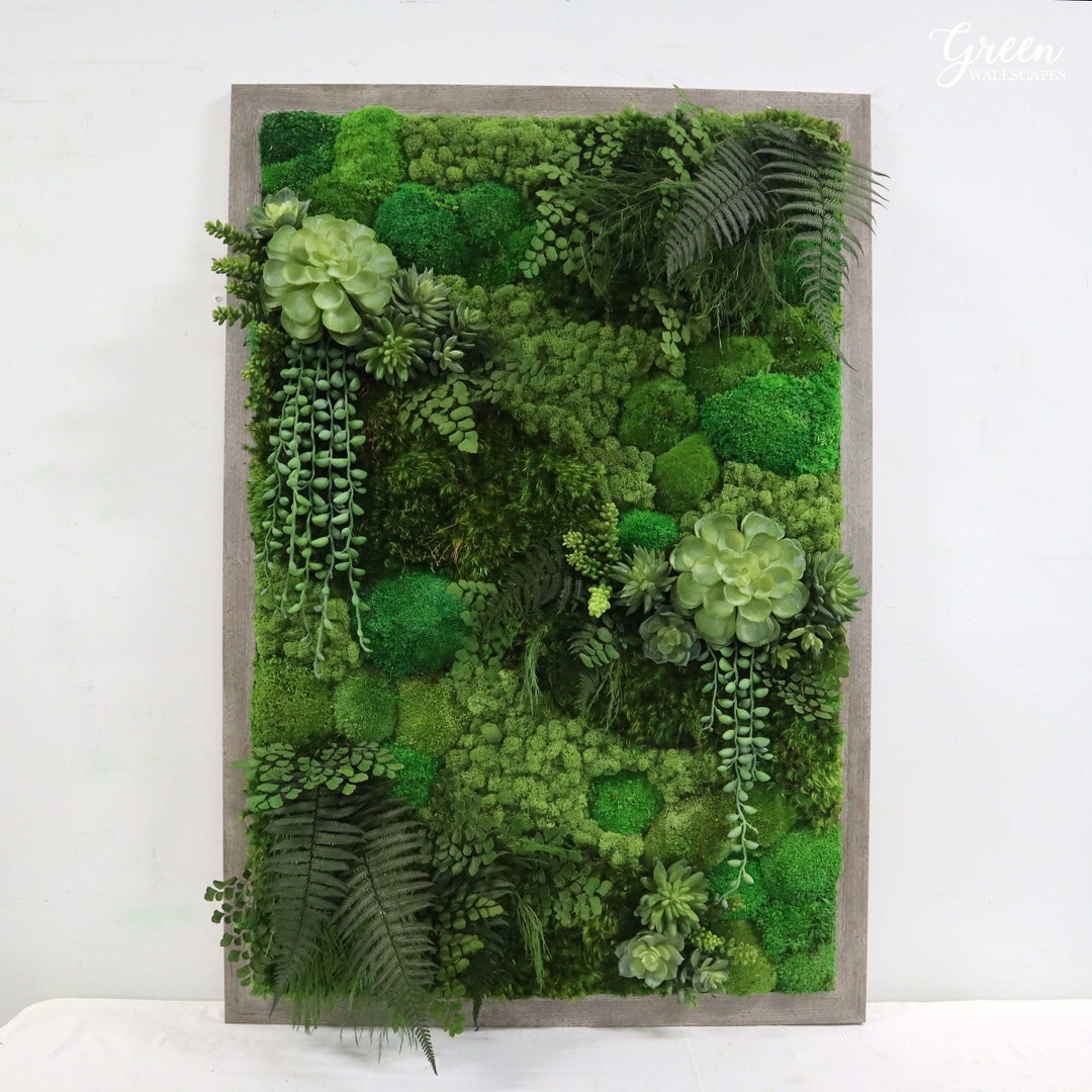 Classic Green Amazonia Plant Painting Moss and Succulent Framed Art - Etsy