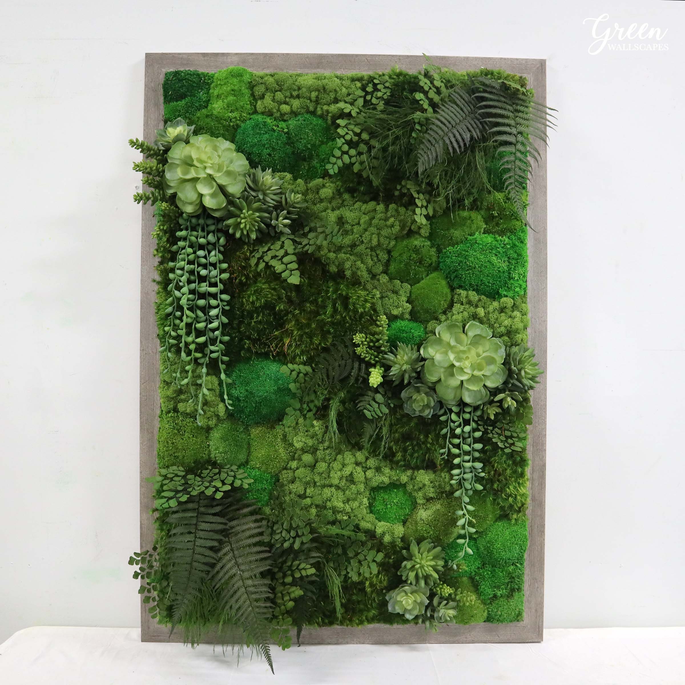 Classic Green Amazonia Plant Painting Moss and Succulent Framed Art - Etsy
