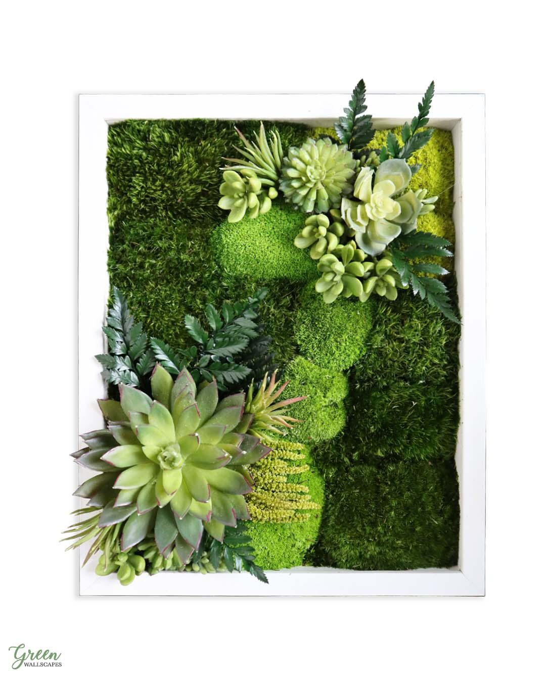 Mini Classic Amazonia Wall Art With White Frame - Etsy