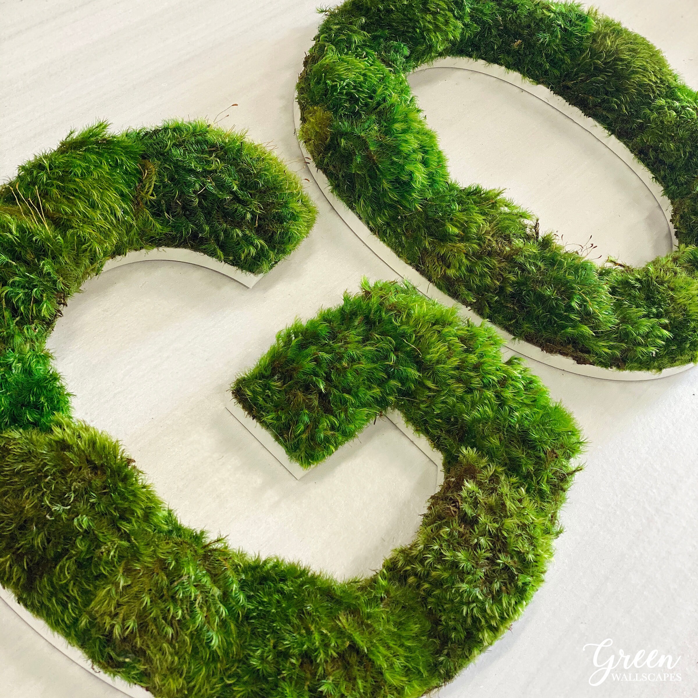 Moss Lettering | Green Wallscapes | Mood Moss Lettering | Moss Letters ...