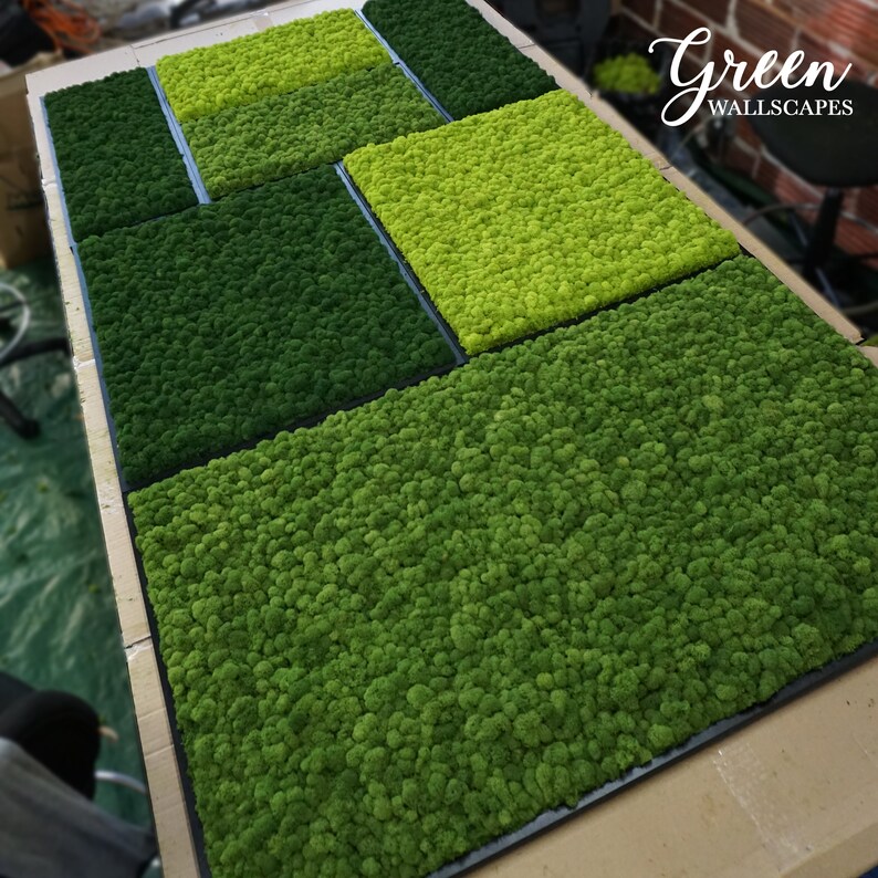 Custom Reindeer Moss Wall | Green Wallscapes | Reindeer Moss Wall ...