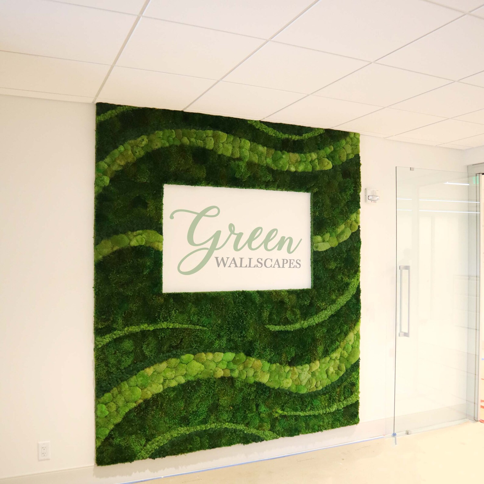 Custom Mixed Moss Green Wall - Preserved Moss | Green Wallscapes - Etsy
