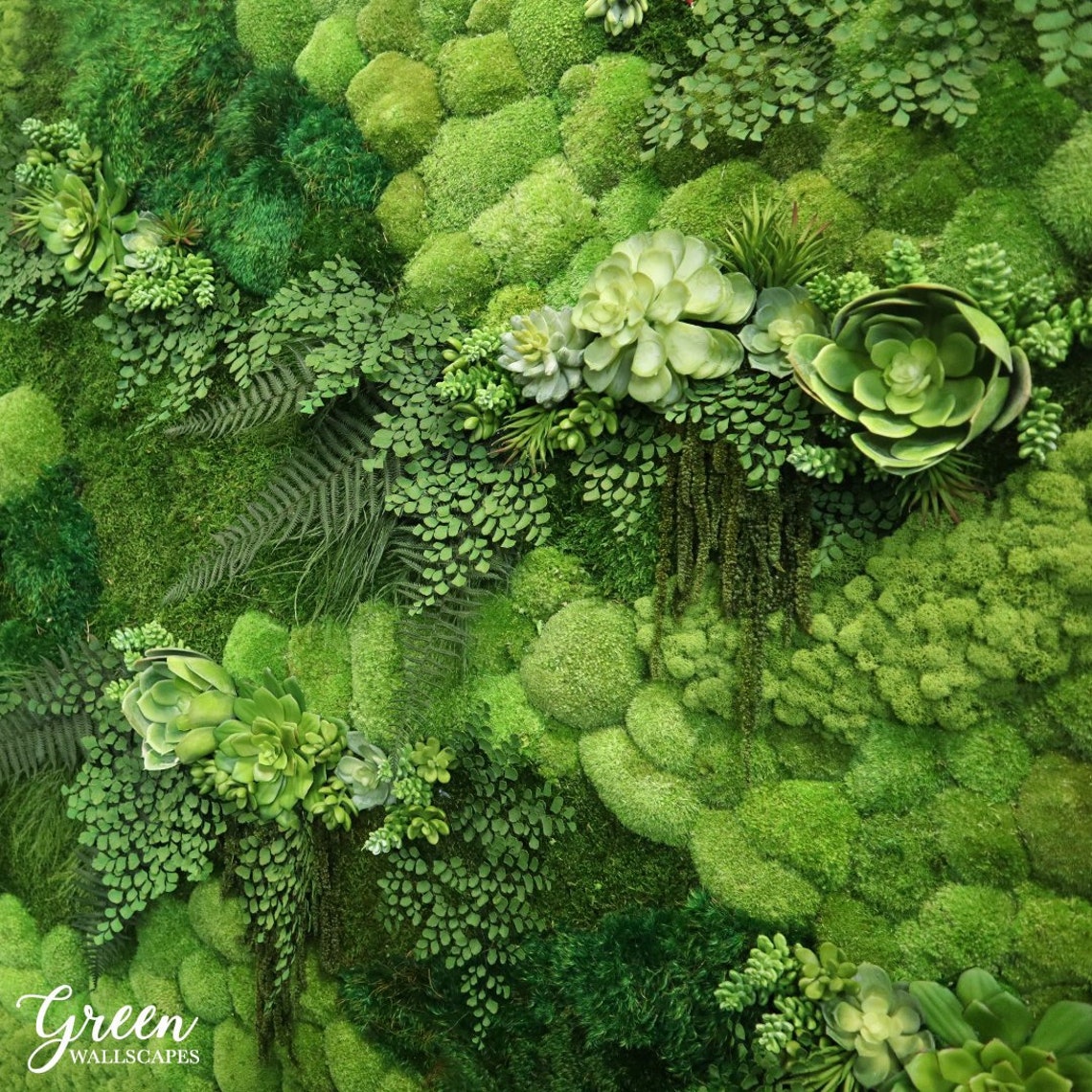 Custom Amazonia-ferns and Moss Wall Art Preserved, Reindeer Lichen Moss ...