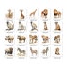 83 PNG, Animals and Plants of Africa Clipart,safari Animals PNG, Wild ...
