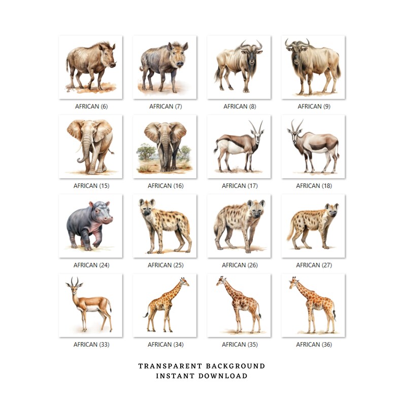 83 PNG, Animals and Plants of Africa Clipart,safari Animals PNG, Wild ...