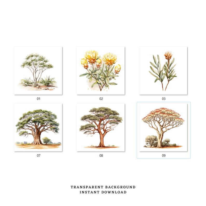 83 PNG, Animals and Plants of Africa Clipart,safari Animals PNG, Wild ...