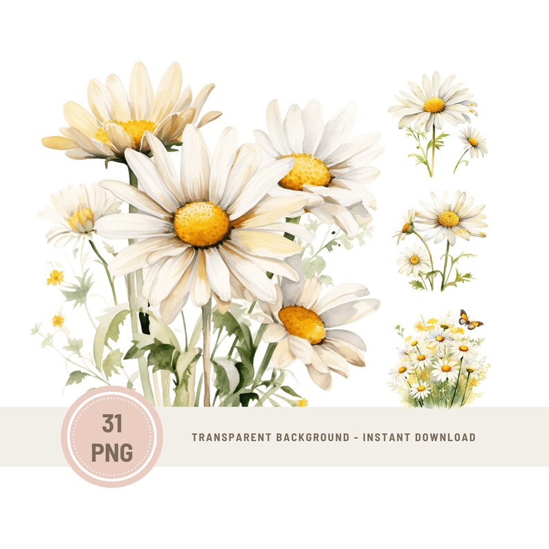 Wildflowers PNG Set Daisy Flowers Clipart Bundle Scrapbooking Junk ...