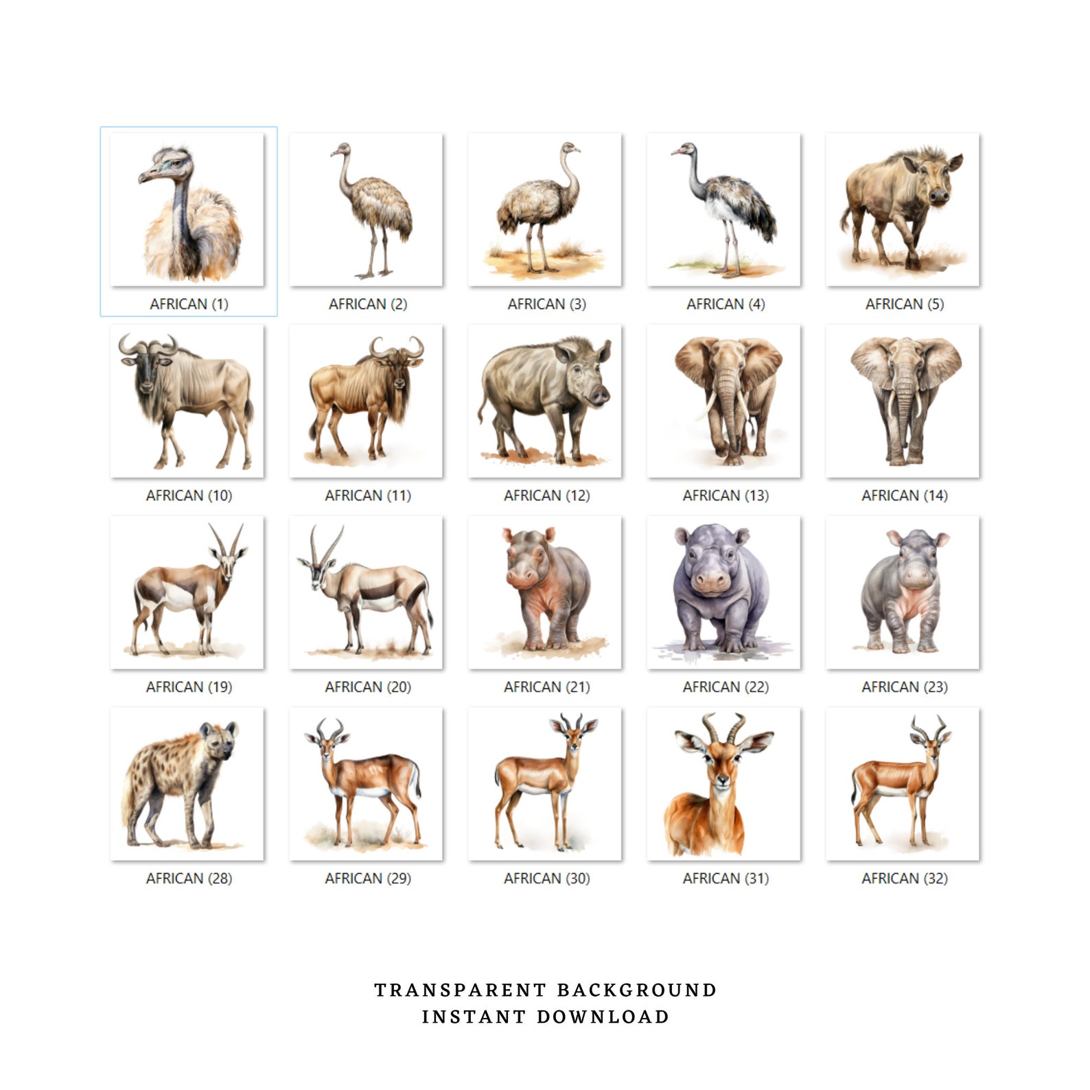 83 PNG, Animals and Plants of Africa Clipart,safari Animals PNG, Wild ...