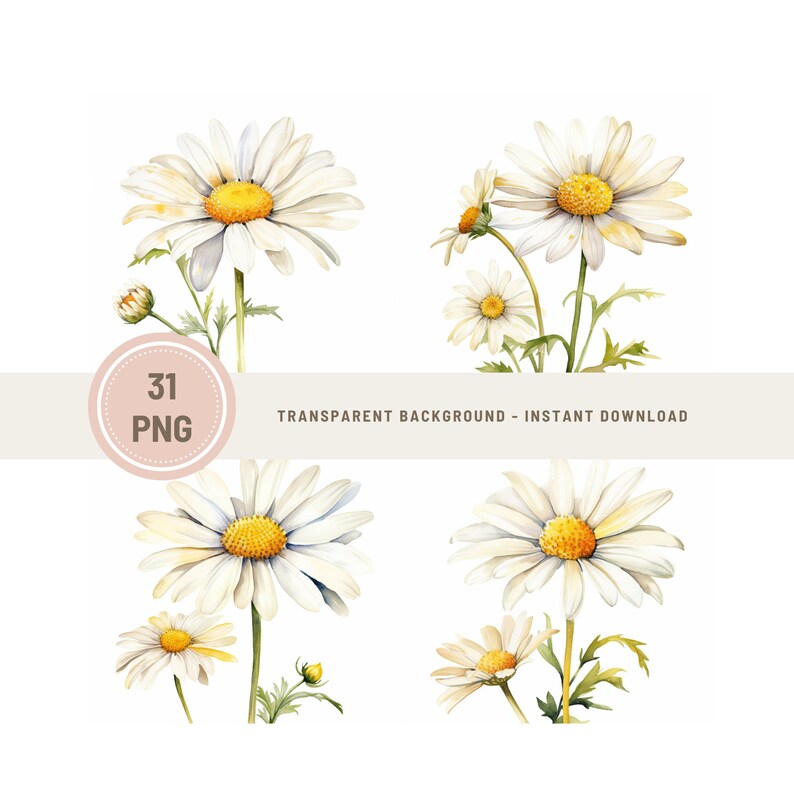 Wildflowers PNG Set Daisy Flowers Clipart Bundle Scrapbooking Junk ...
